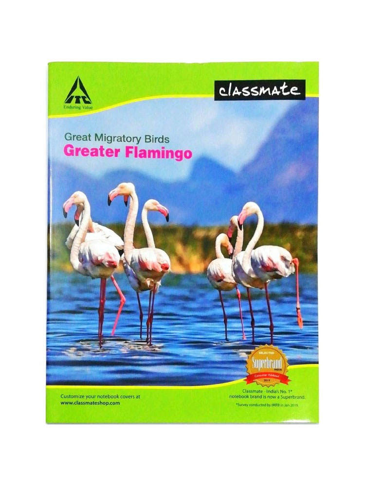 Classmate Broad Line Notebook, 172p - F Store - Online store for school ...