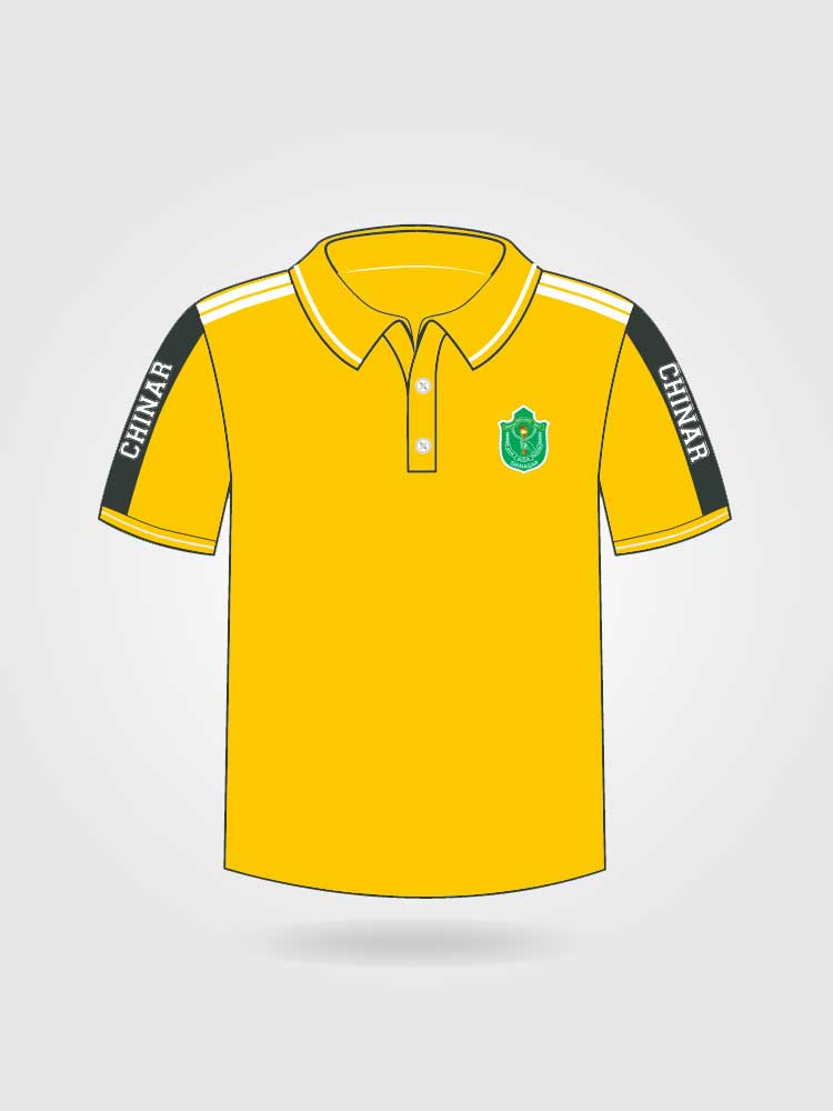 T Shirt Half / House Color - DPS Srinagar - F Store - Online store for ...